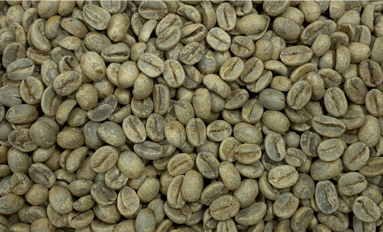 Master Green Grading: A Coffee Roaster's Guide