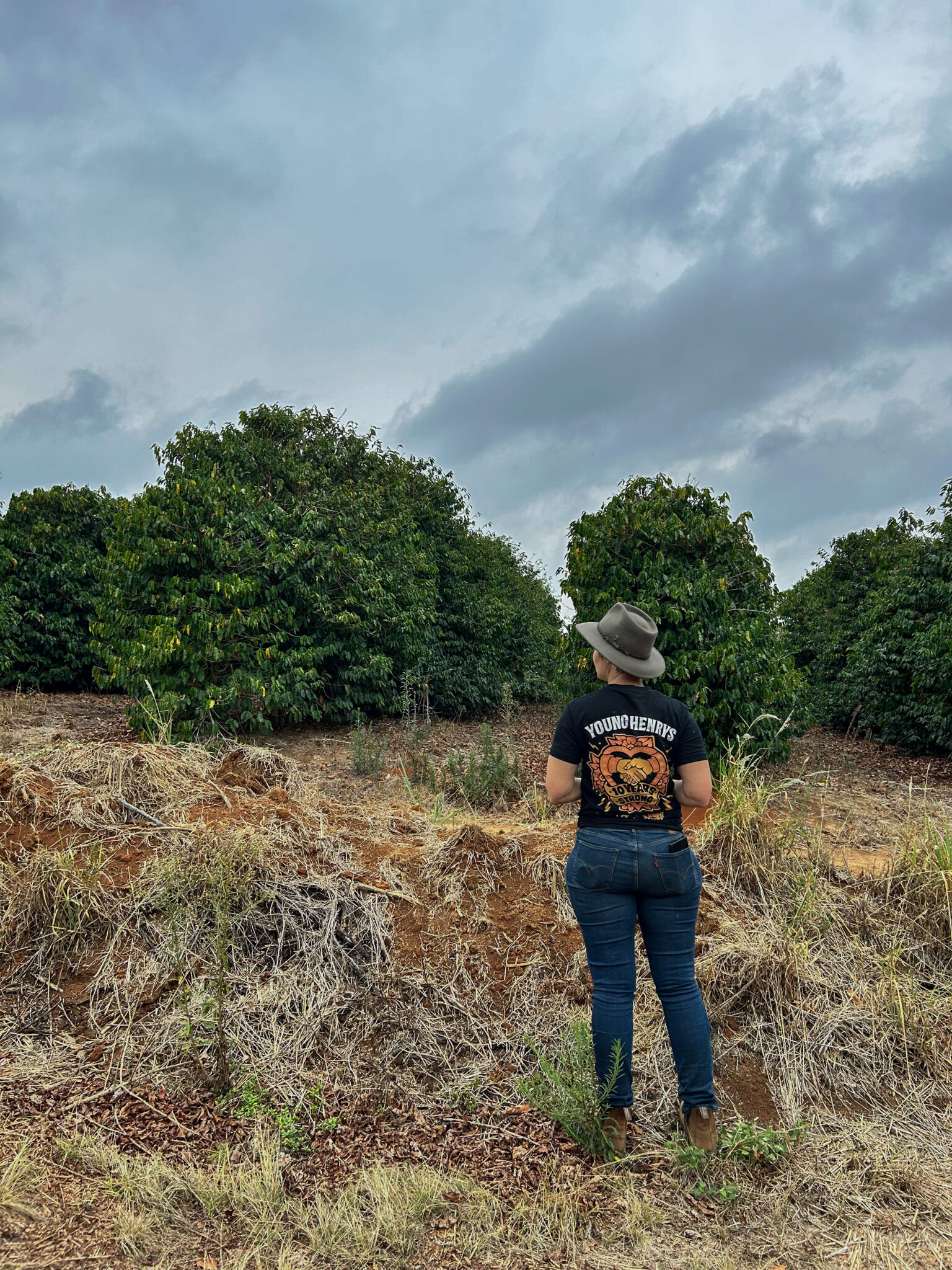 Cropster: Software for Better Coffee | Roasting & Inventory